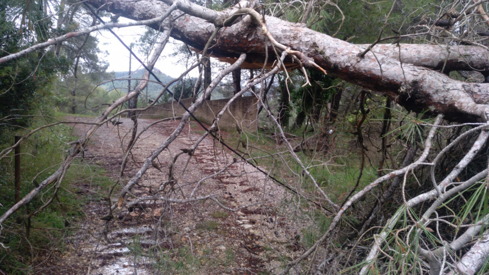 Greus afectacions als municipis del Baix Llobregat i al Parc Agrari ...